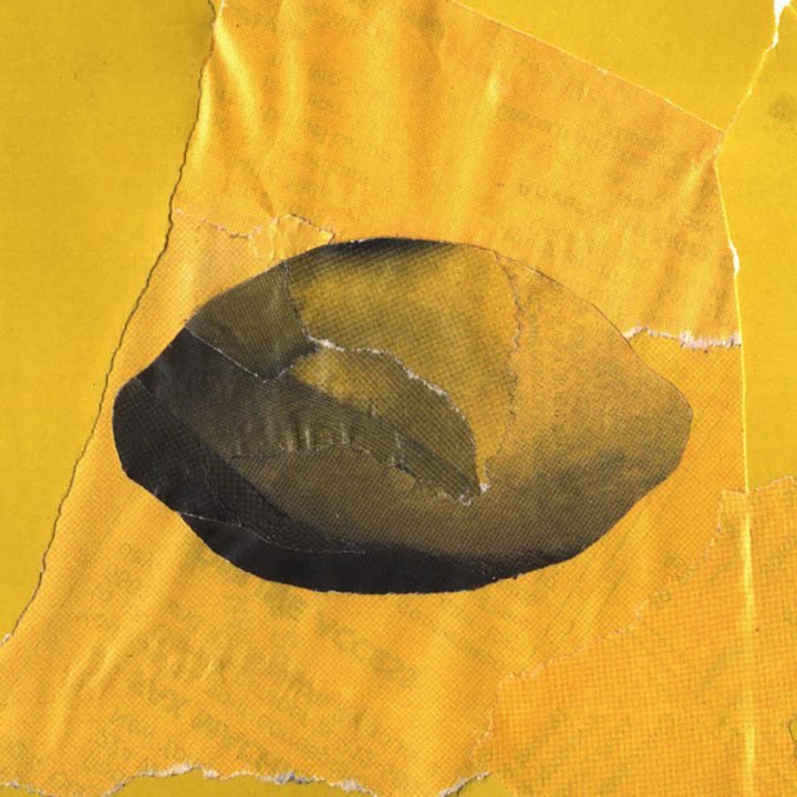 Found Image Collages - OBEDIENT MACHINE